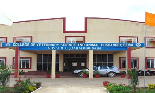 College Of Veterinary Science & Animal Husbandry, Rewa - Admission ...